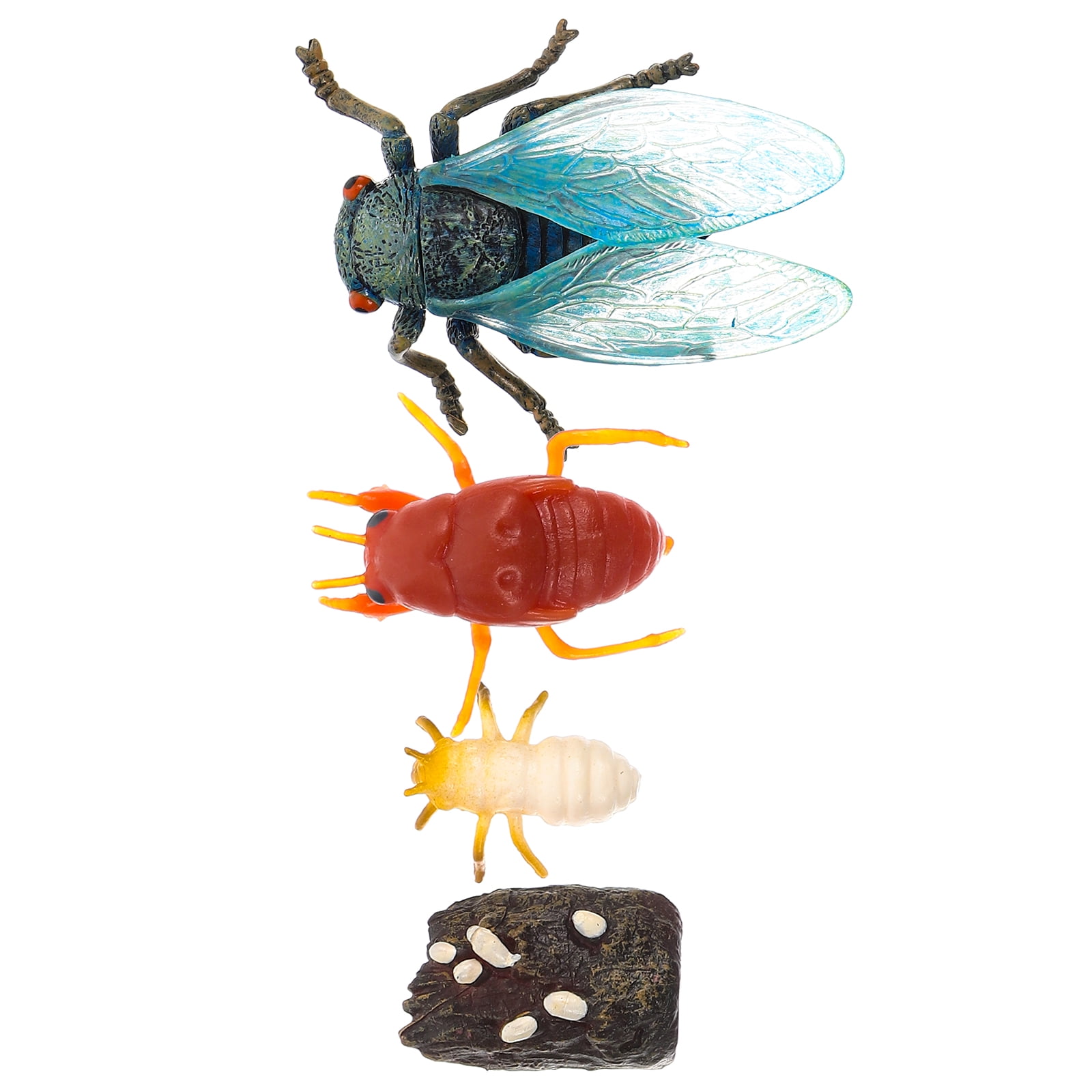 5 Sets Models Life Cycle Crafts for Kids Simulation Animal Model Cicada ...