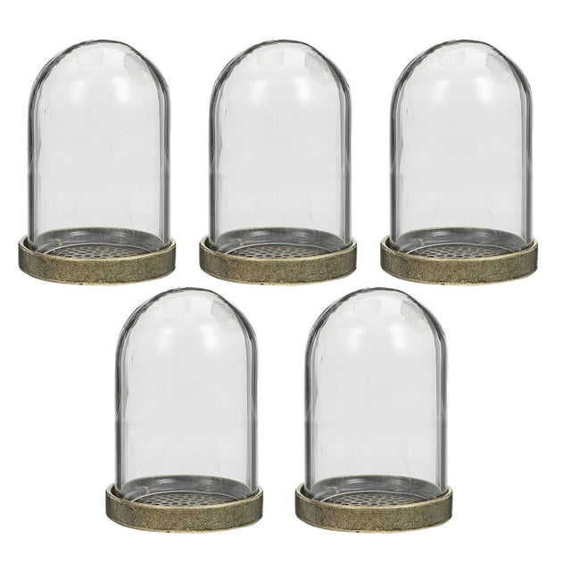 5 Sets of Glass Terrarium Container DIY Ecological Plant Glass Cover ...