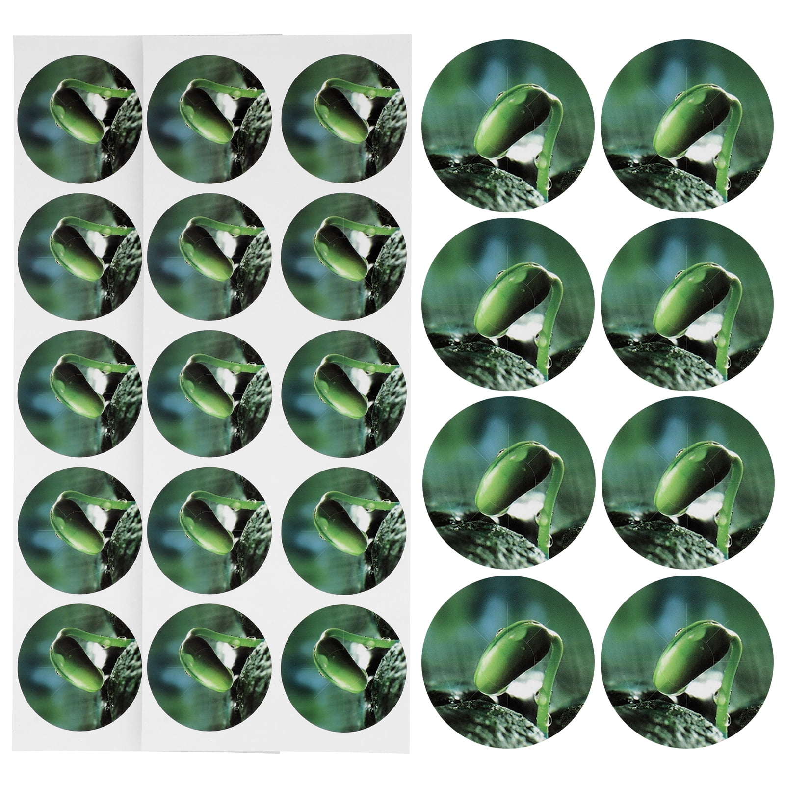 Label Plants