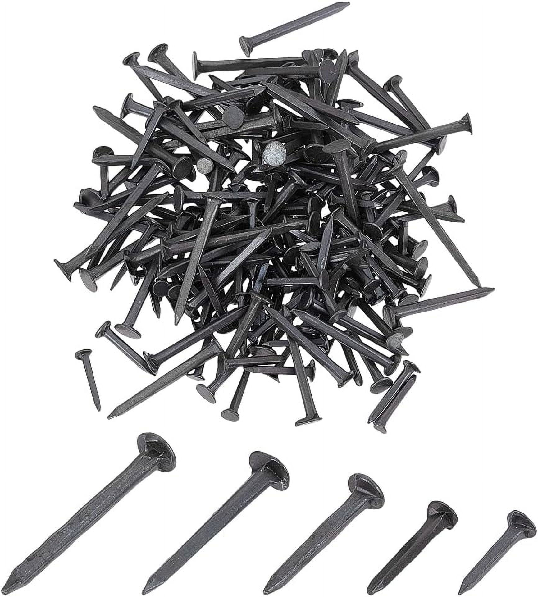 5 Sizes Black Iron Nails Tacks (10/13/16/19/22mm) for Shoes Boots Metal ...