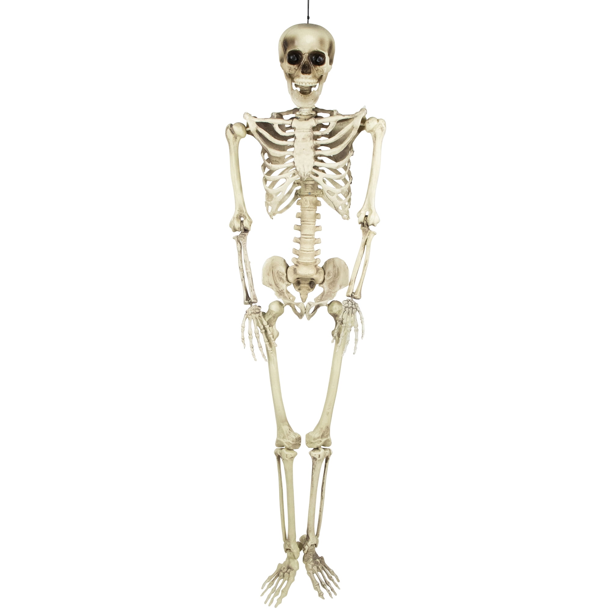 5' Spooky Life Size Skeleton Indoor/Outdoor Halloween Decoration ...