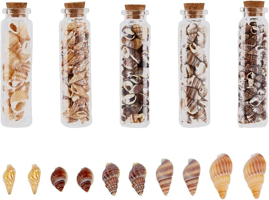 5 Styles Natural Sea Shell Beads with Glass Bottle Ocean Beach Spiral ...