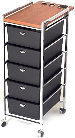 5 Tier Cart Professional Utility Cart/Styling Station on Wheels with ...