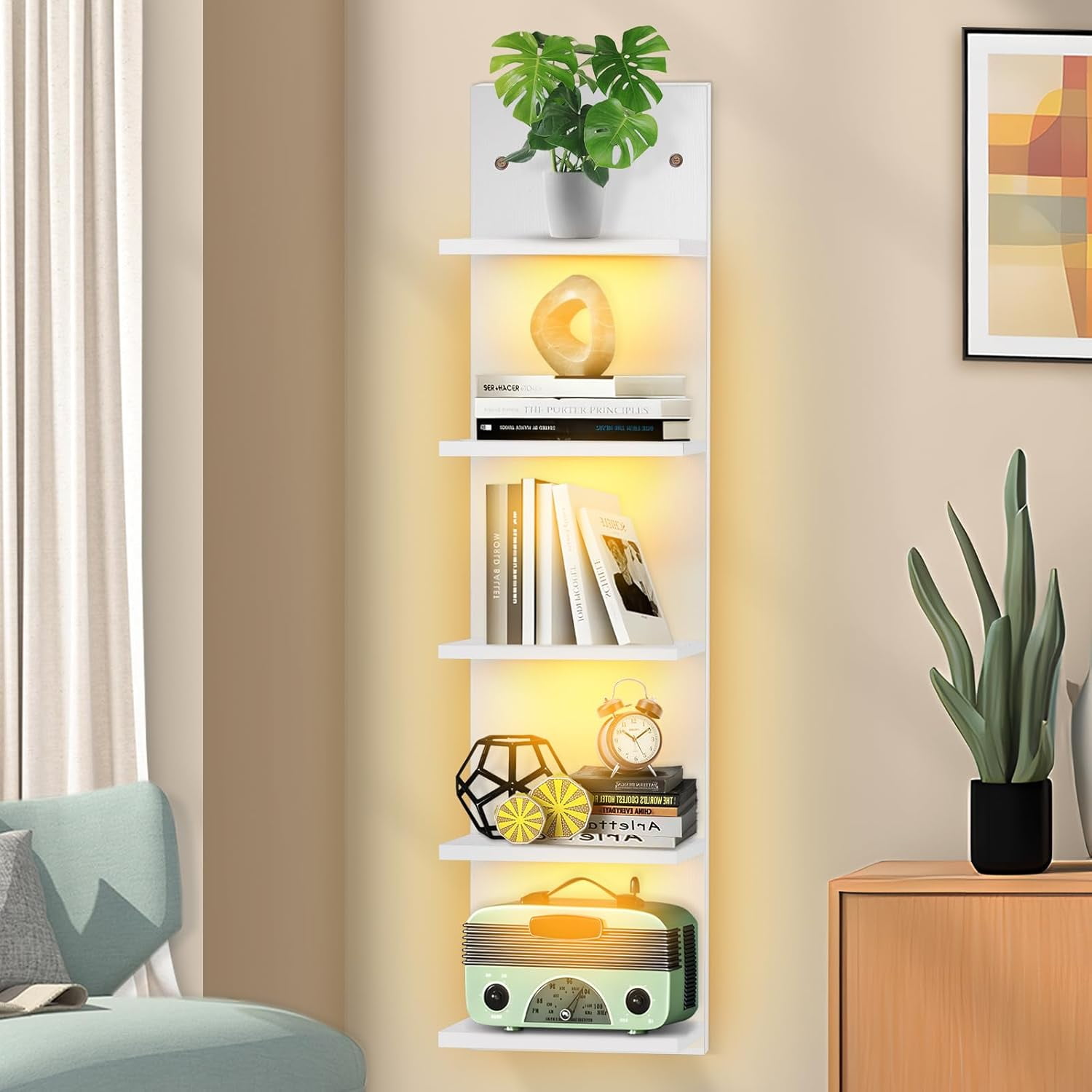 5 Tier Display Shelf Case with Light LED Wall Mount Vertical Lack Shelf ...