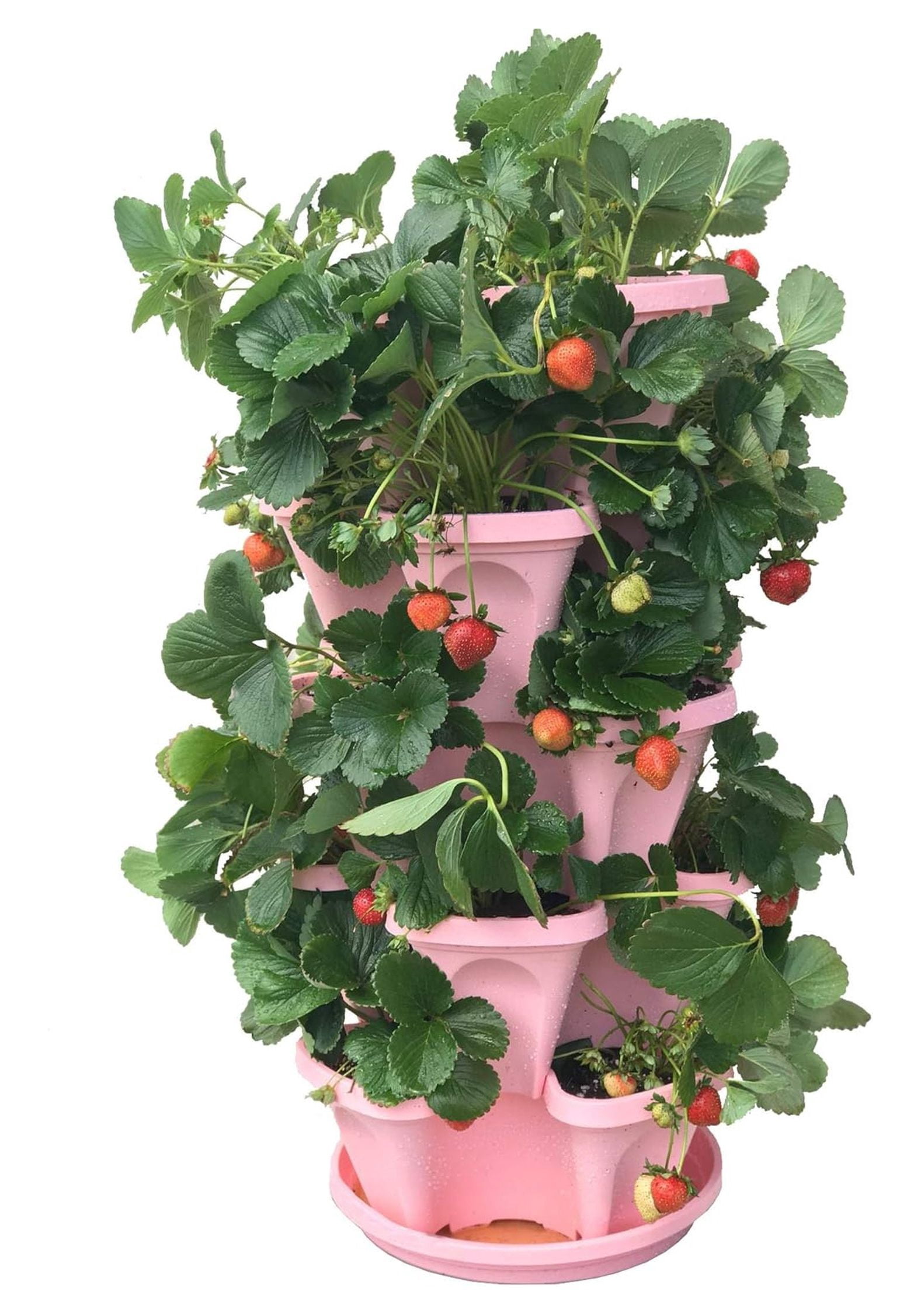 5-Tier Pink Strawberry and Garden Planter - Stackable Gardening Pots ...