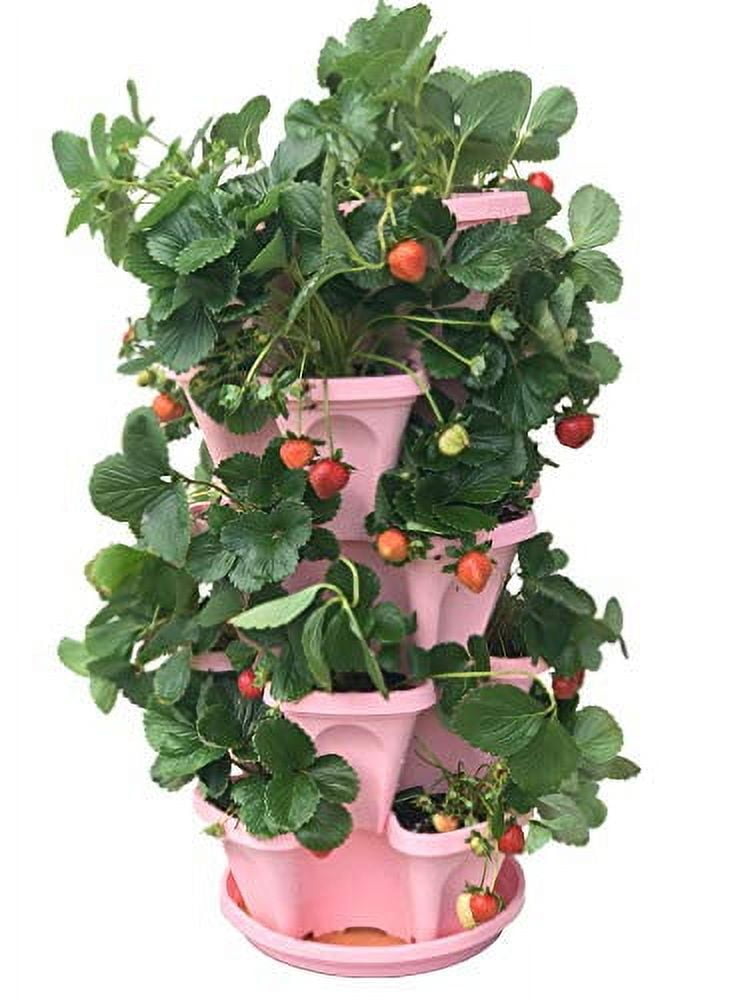 5-Tier Pink Strawberry and Herb Garden Planter - Stackable Gardening ...