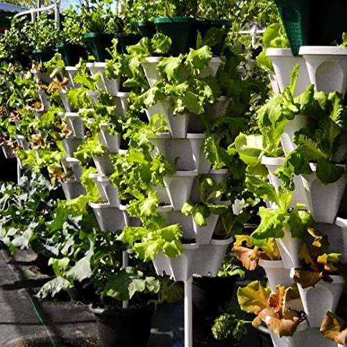5-Tier Stackable Strawberry Garden – 24 Quart Indoor/Outdoor Stacking ...