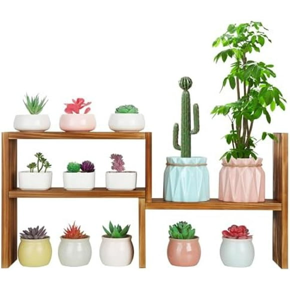 Explore Stylish Window Sill Shelves and Plant Stands for Your Home