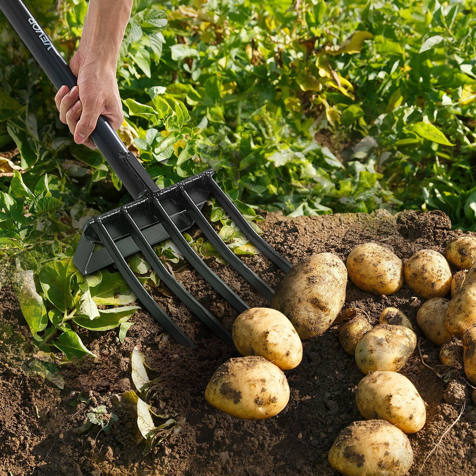 5-Tine Steel Garden Fork, 41 Inch Y-Grip Handle Spading Pitchfork for ...