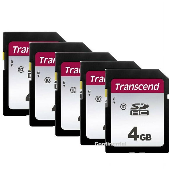 4 GB Memory Cards