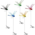 5 count Dragonfly Clips for Garden Decor and Hair Accessories ...