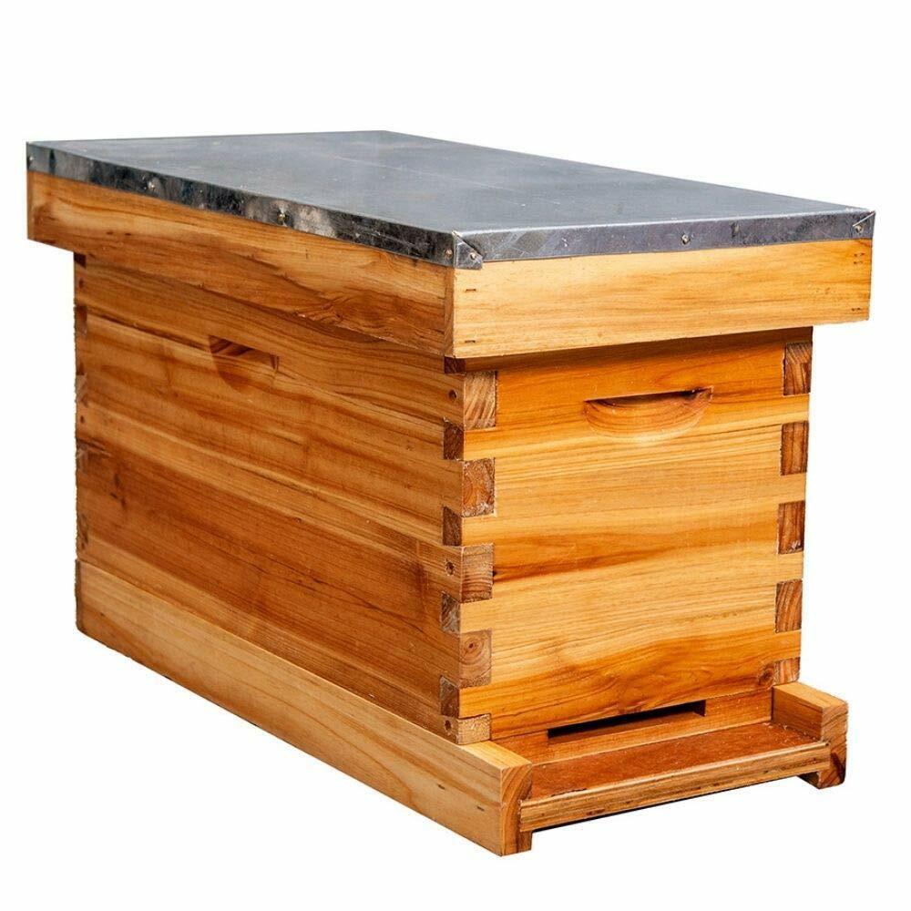 5 frame NUC beehive complete beehive kit, wooden frame and wax base for ...