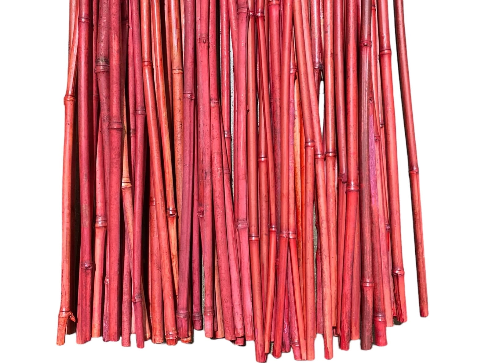 5 ft All Natural Thick Bamboo Poles - (1/2 in Wide) - 16 Pieces - 6 ...