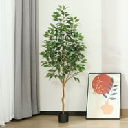6 ft Tall Large Indoor Faux Moringa Oleifera Tree in Pot, Artificial ...