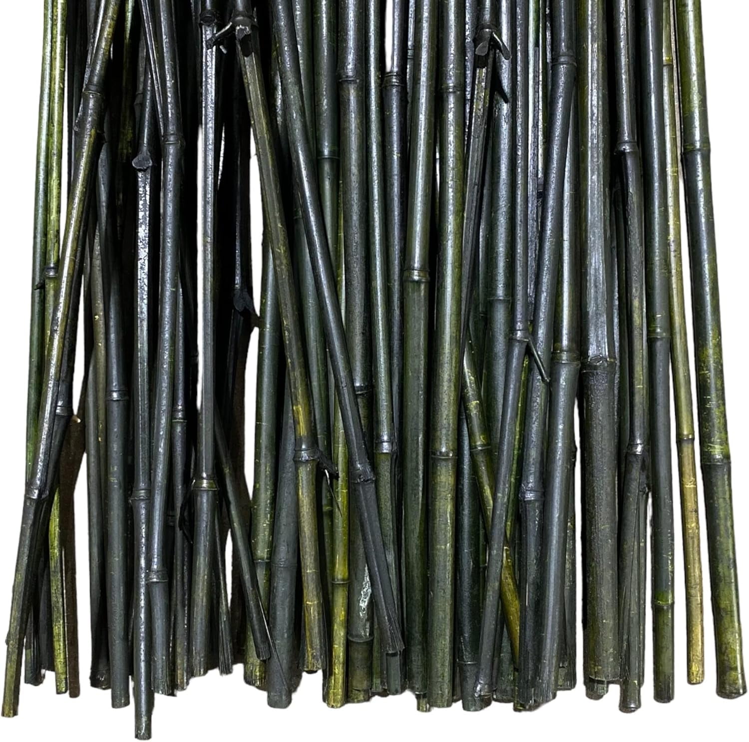 5 ft Tall All-Natural Thick Bamboo Poles - (1/2 in Wide) - 16 Pack - 6 ...