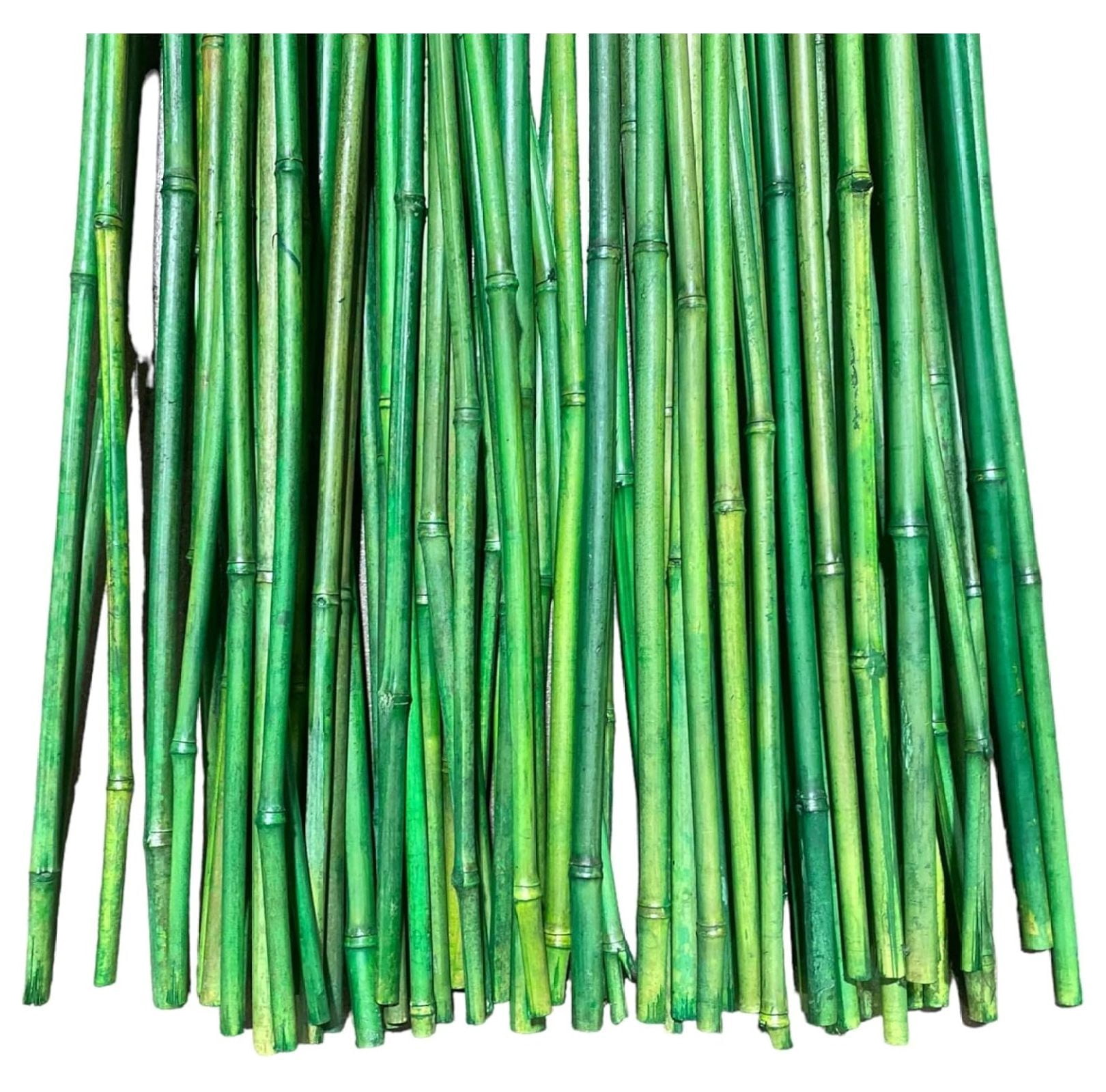 5 ft Tall All-Natural Thick Bamboo Poles - (1/2 in Wide) - 16 Pack - 6 ...