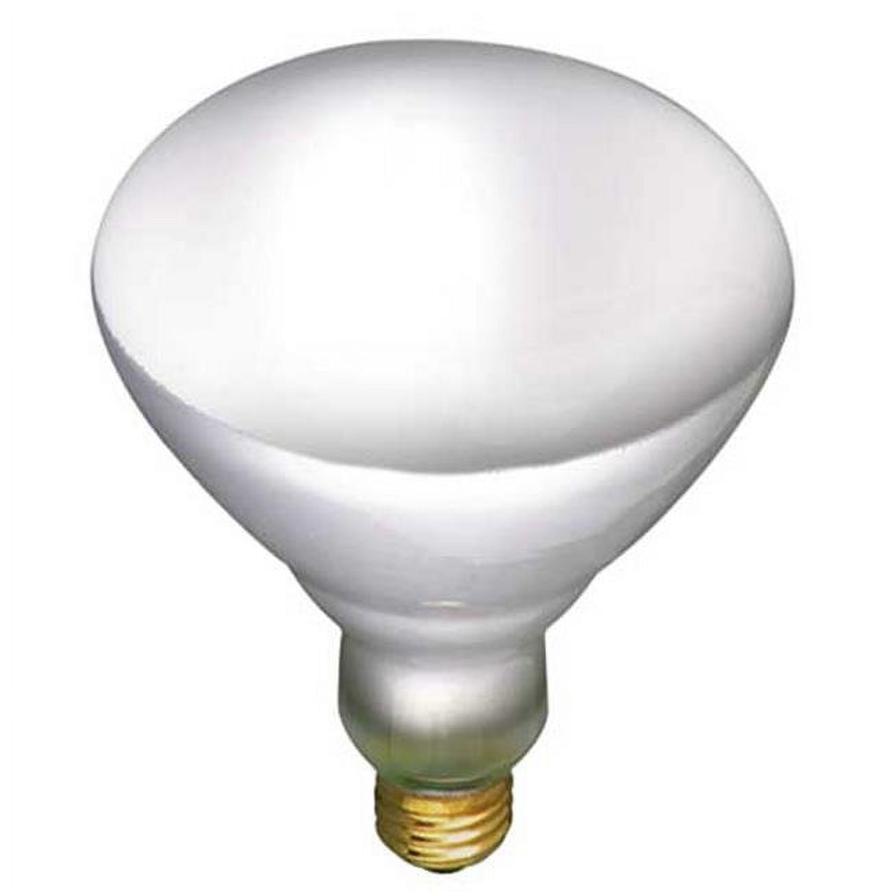 5 in. 65W 130V BR40 Reflector Flood Light Bulb Case - Walmart.com