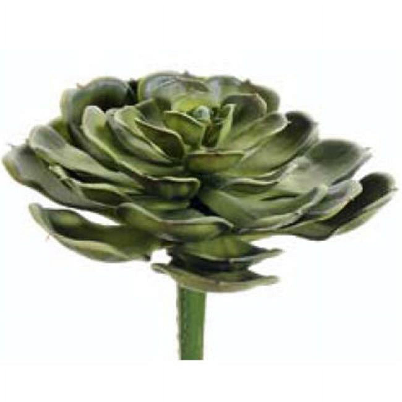 5 in. Hen- And- Chicks Pick Green- Case of 12 - Walmart.com