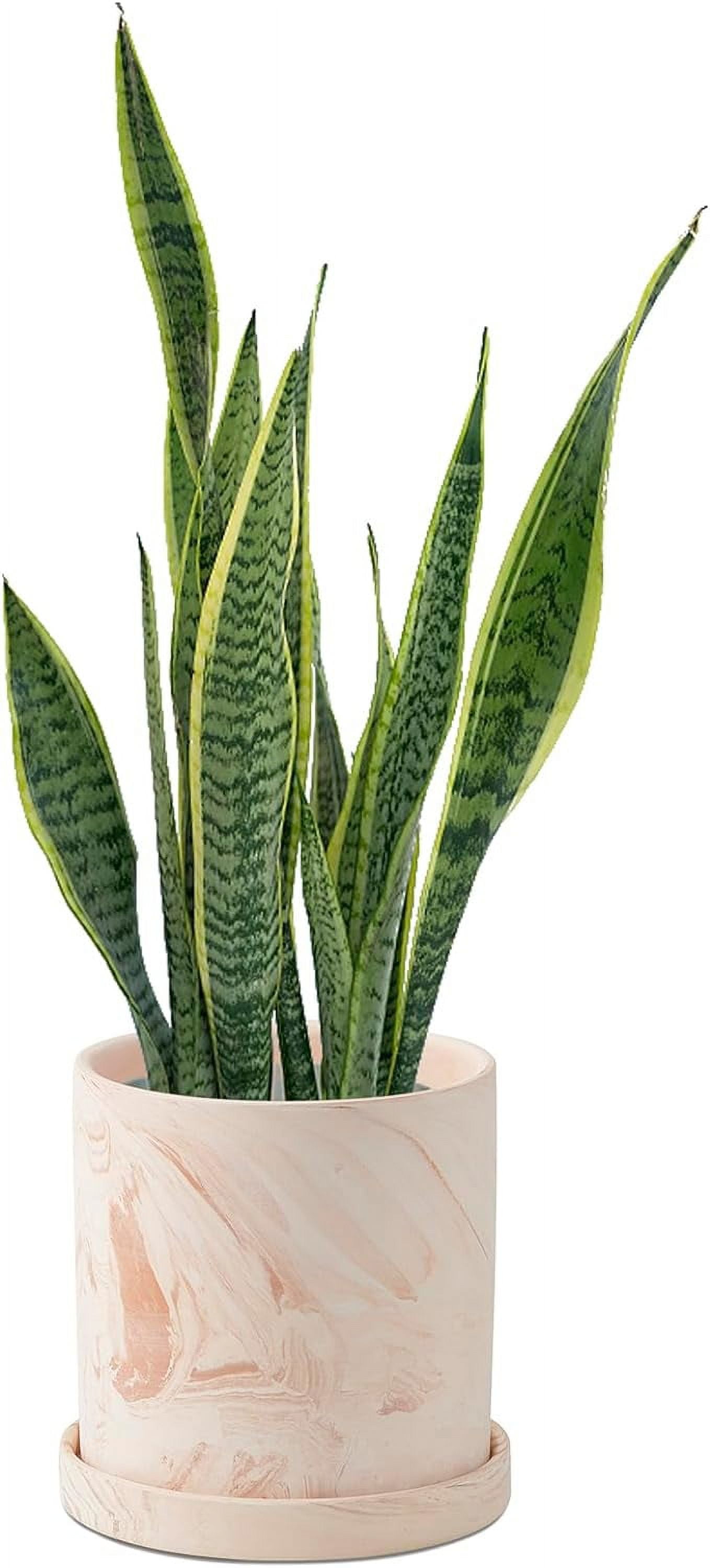 5 inch Plant Pot - Terra Cotta Flower Planters Indoor - Modern ...