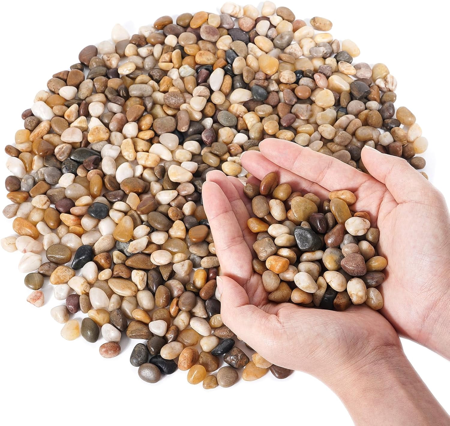 5-lb Decorative Rocks for Plants, 1/5" Pea Gravel for Fish Tanks ...