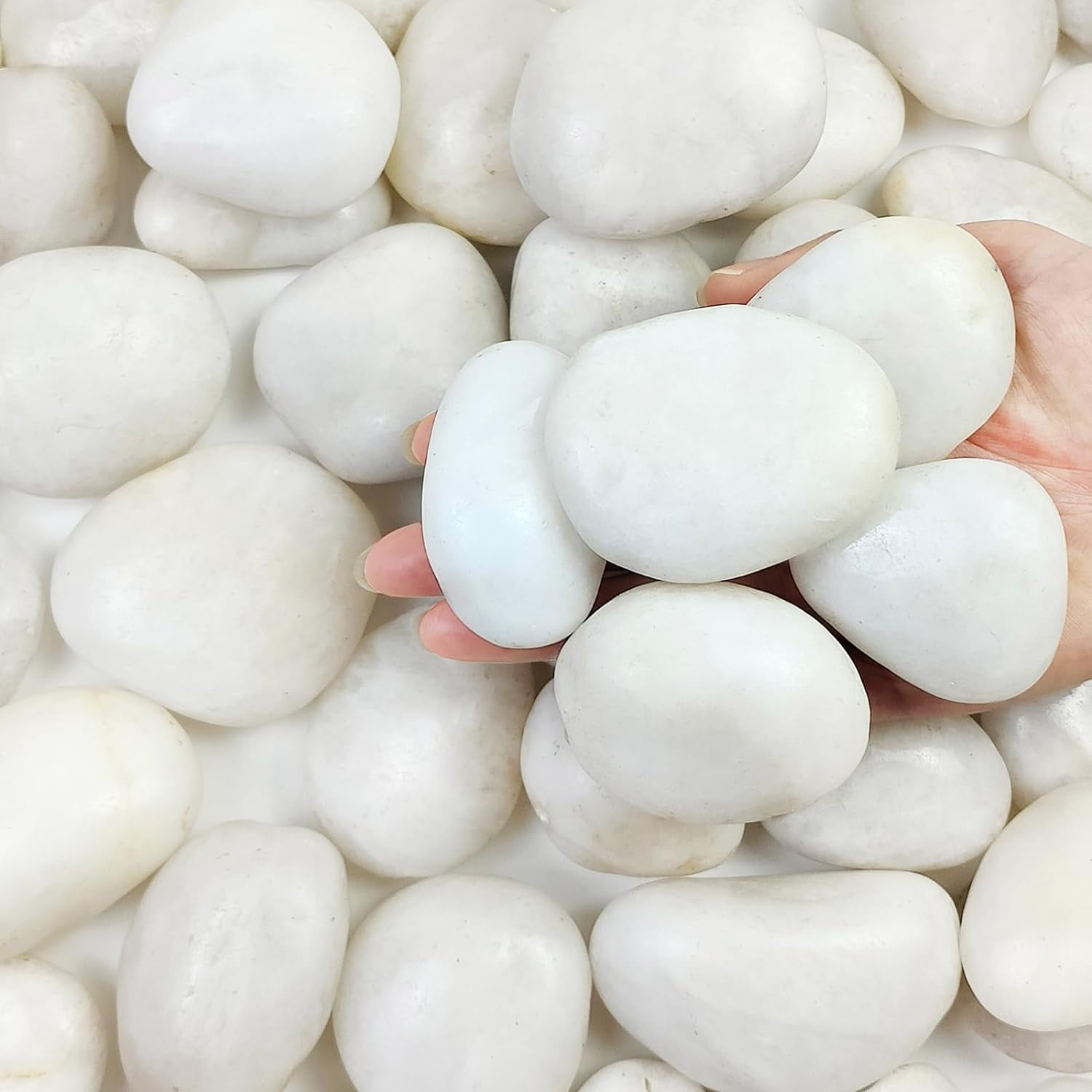5 lbs Large White River Rocks, 2-3 inch Pebbles for Indoor Plants ...