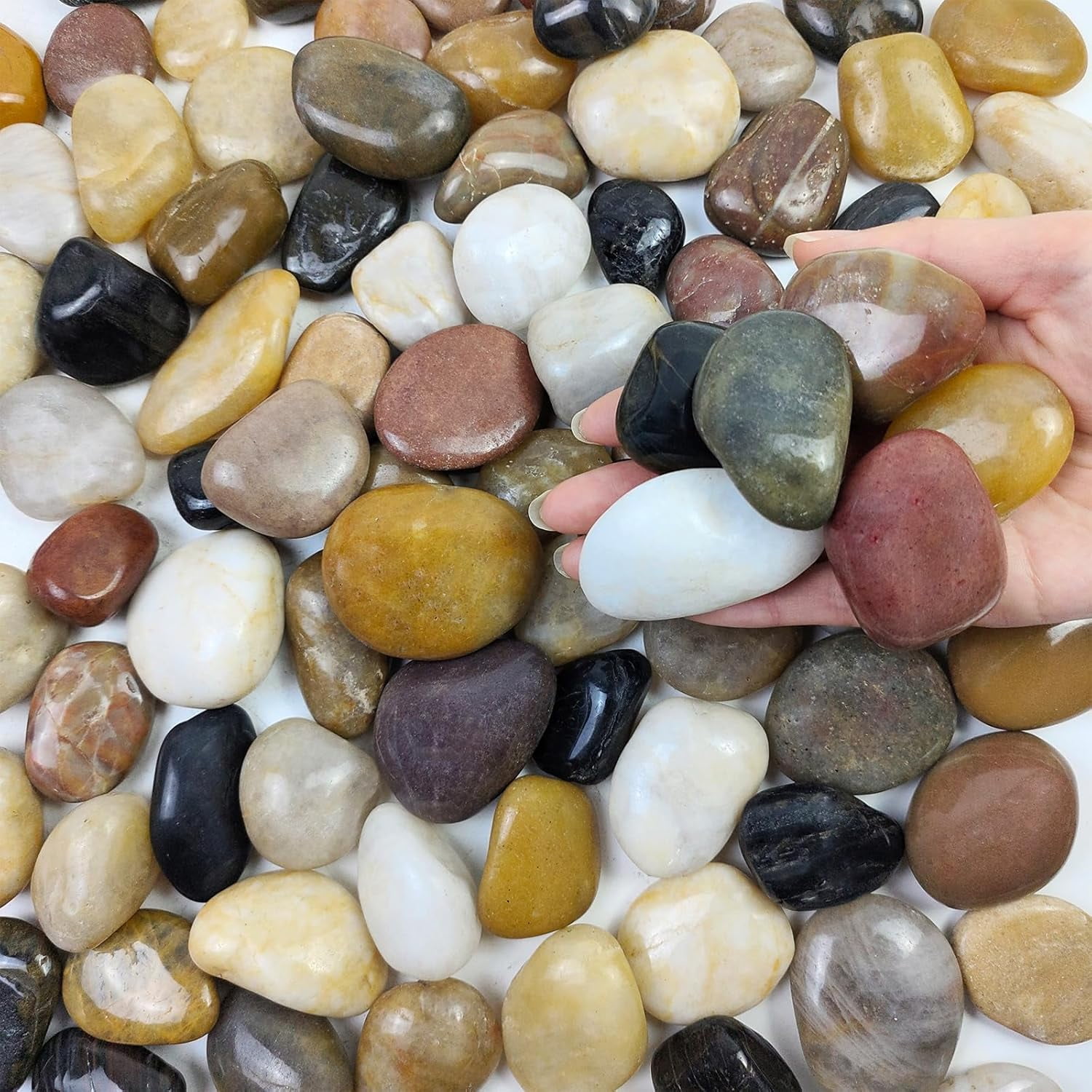5 lbs River Rocks Pebbles for Indoor Plants, Decorative Mixed Color ...
