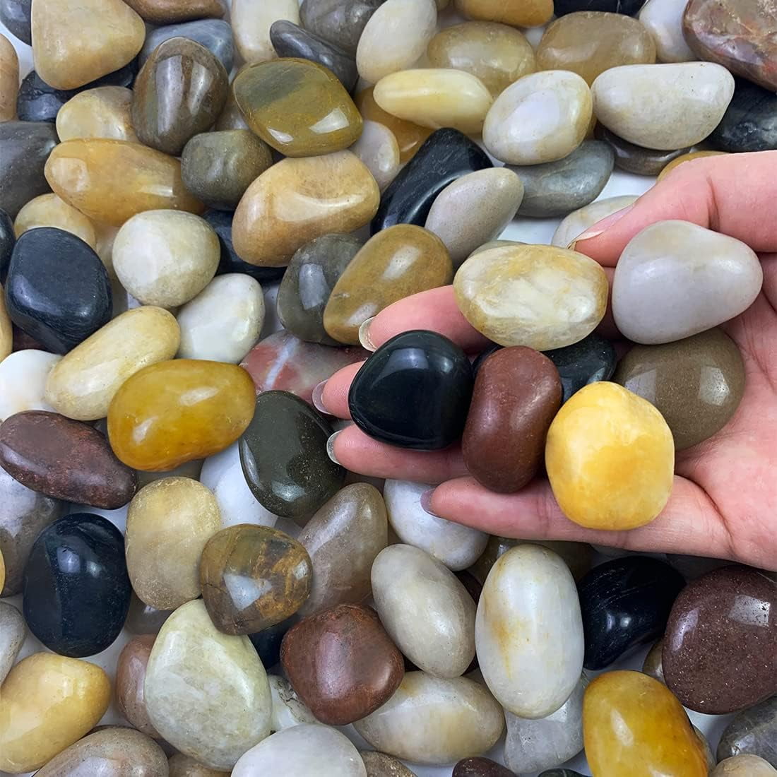 5 lbs River Rocks Pebbles for Indoor Plants, Decorative Mixed Color ...