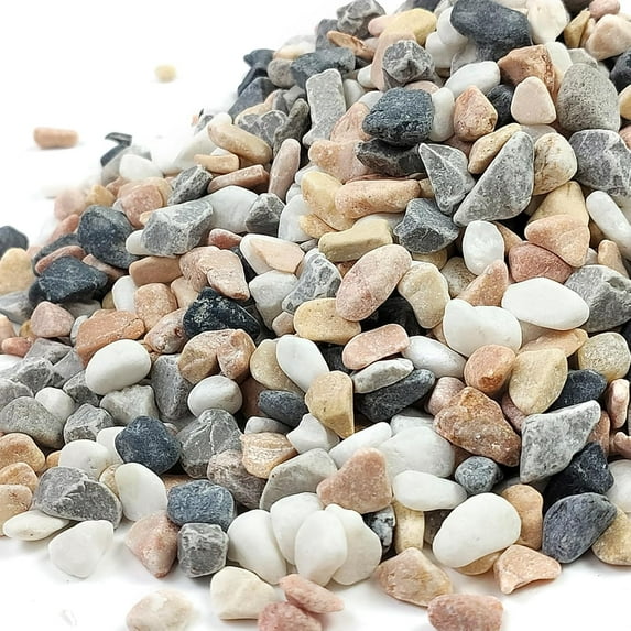 5 lbs Succulent and Cactus Pebbles for Indoor Plants, 3/8 Inch Pea ...