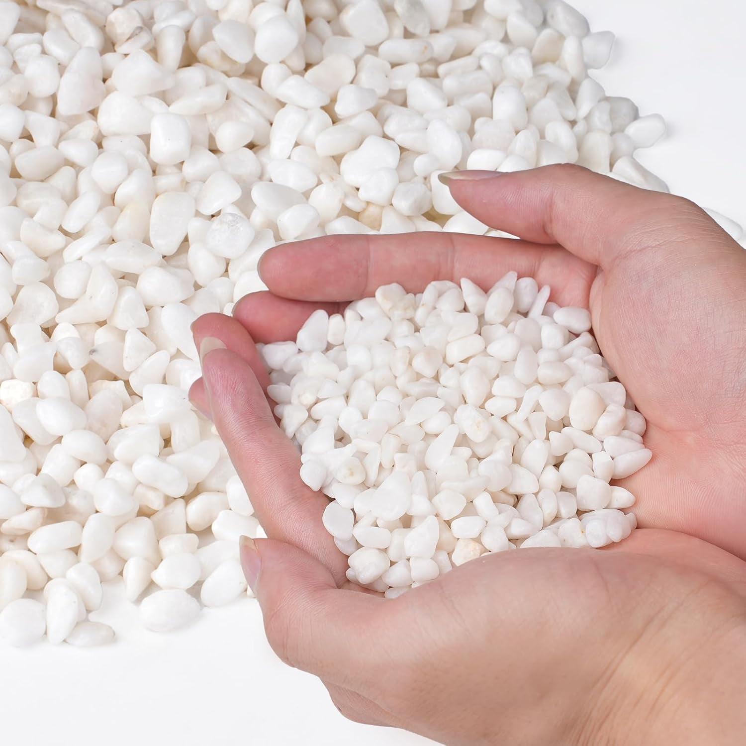 5 lbs White Pebbles for Indoor Plants, 1/5 Inch Pea Gravel for ...