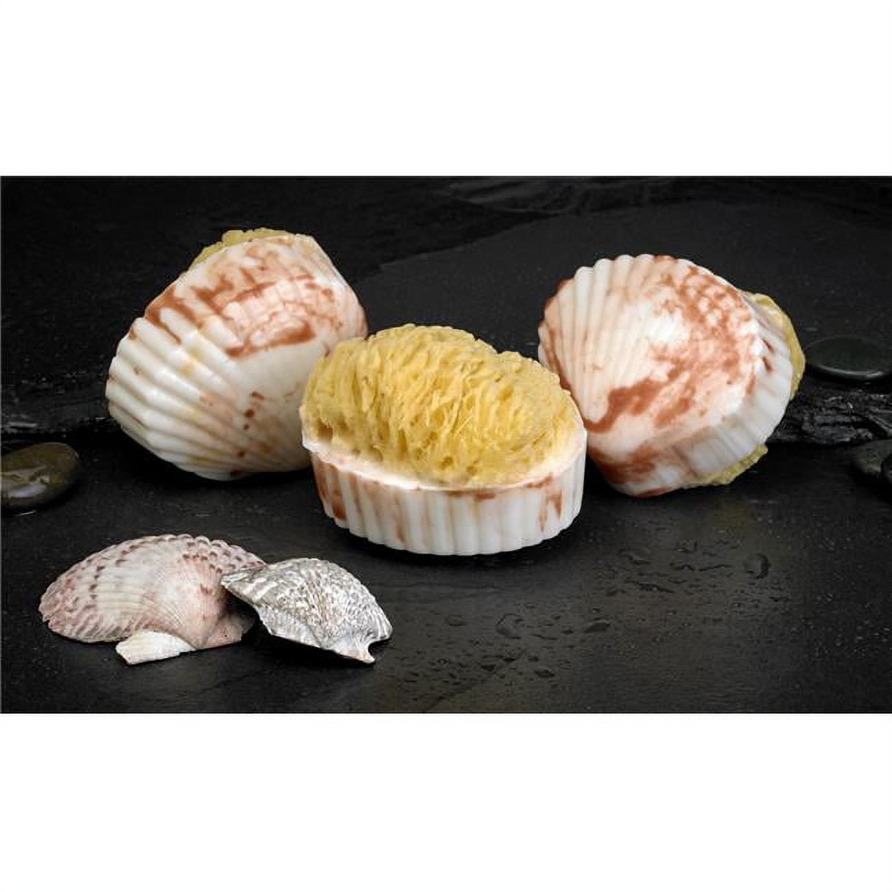5 oz Clam Shell Soap with Sponge - Walmart.com