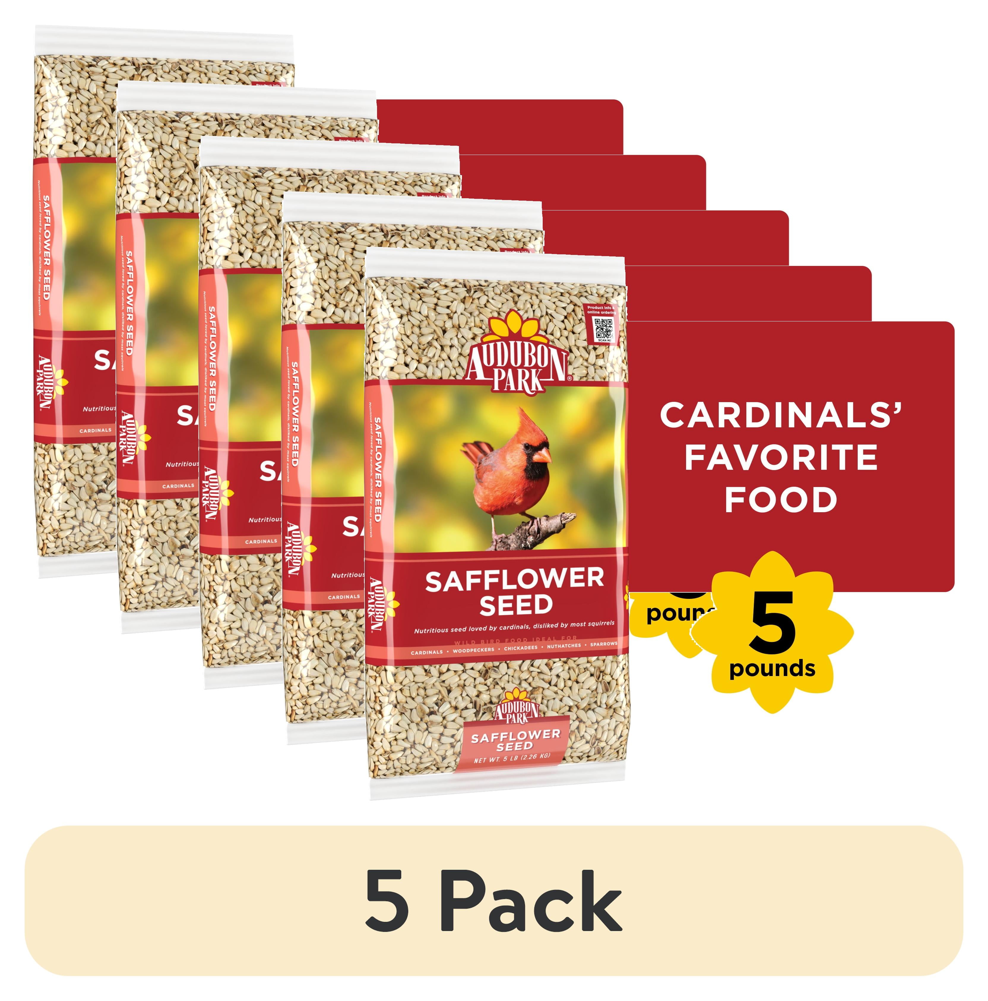 (5 pack) Audubon Park Safflower Seed Wild Bird Food, Dry, 1 Count per ...