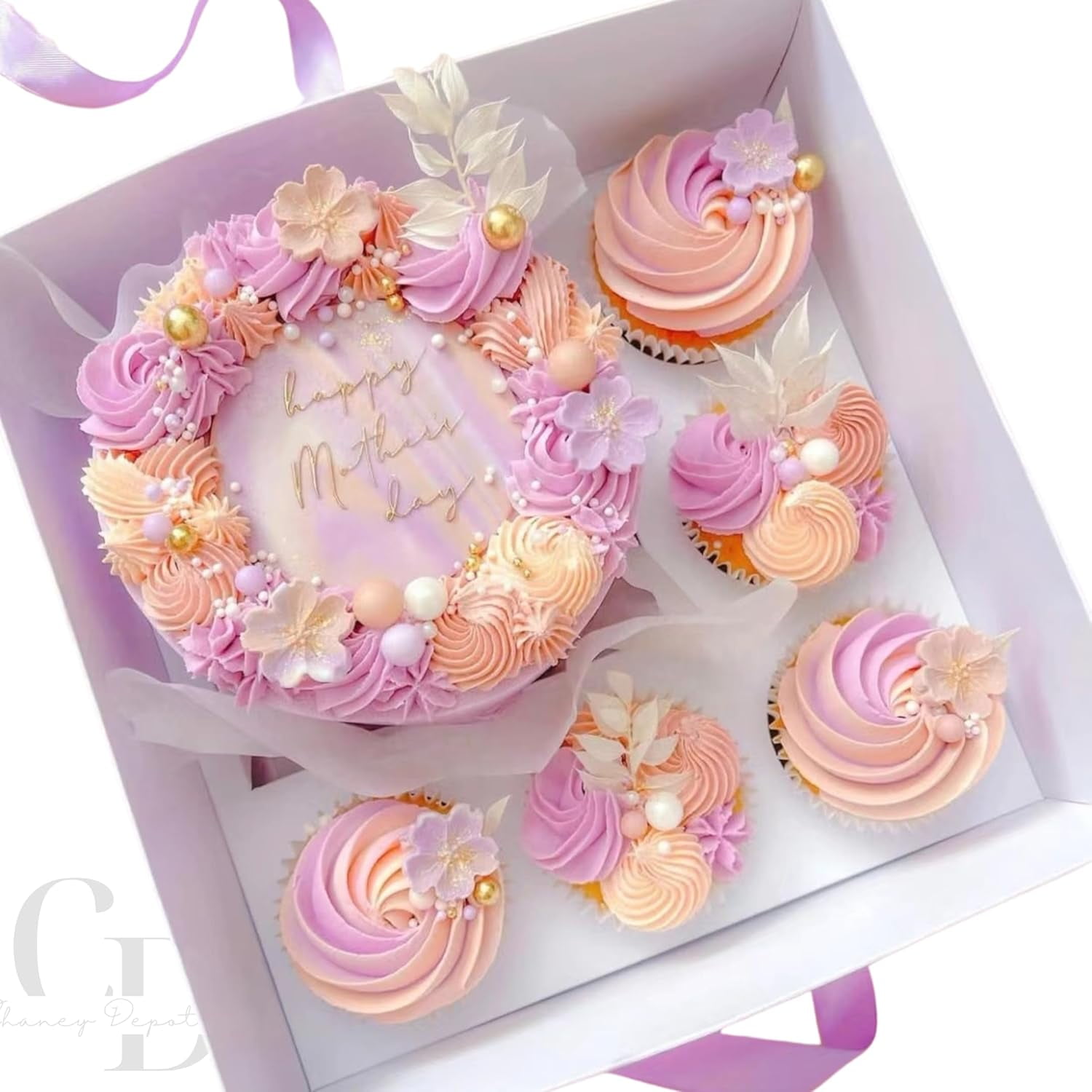 5 pack- Bento Box, Cupcake and cake box, 5 cupcake cavity space and 1 4 ...