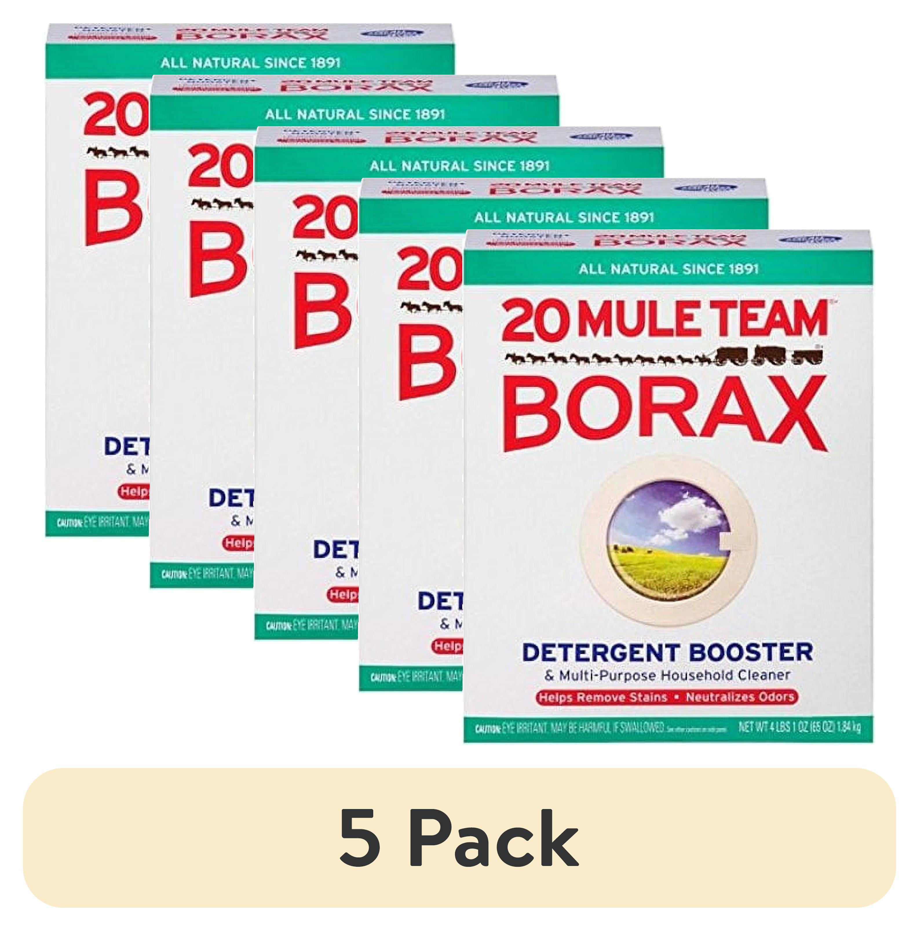 (5 pack) Dial 20 Mule Team Borax Natural Laundry Booster & Multi ...