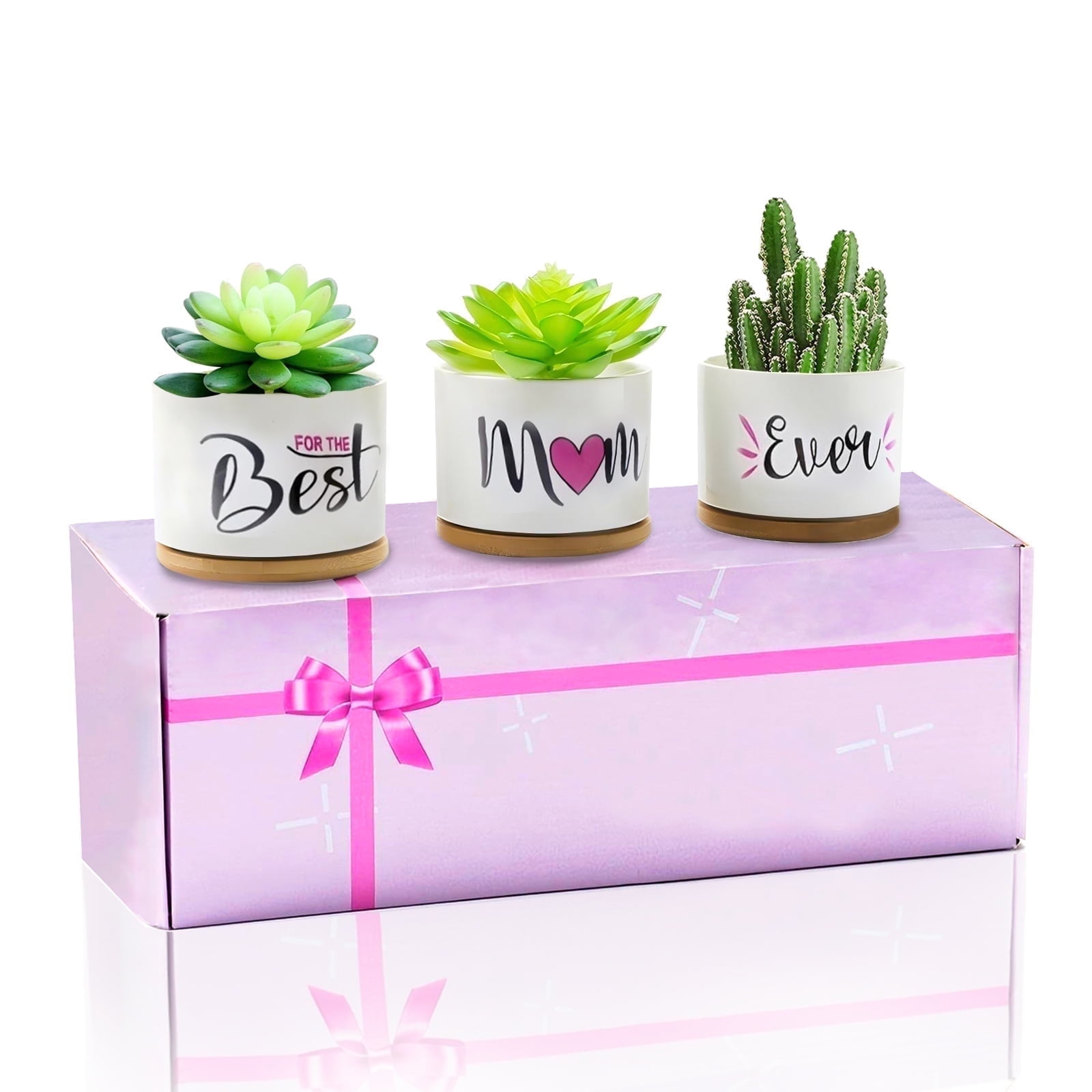 (5 pack) Lockways Mom Birthday Gifts White Ceramic Plant Pots, Unique ...