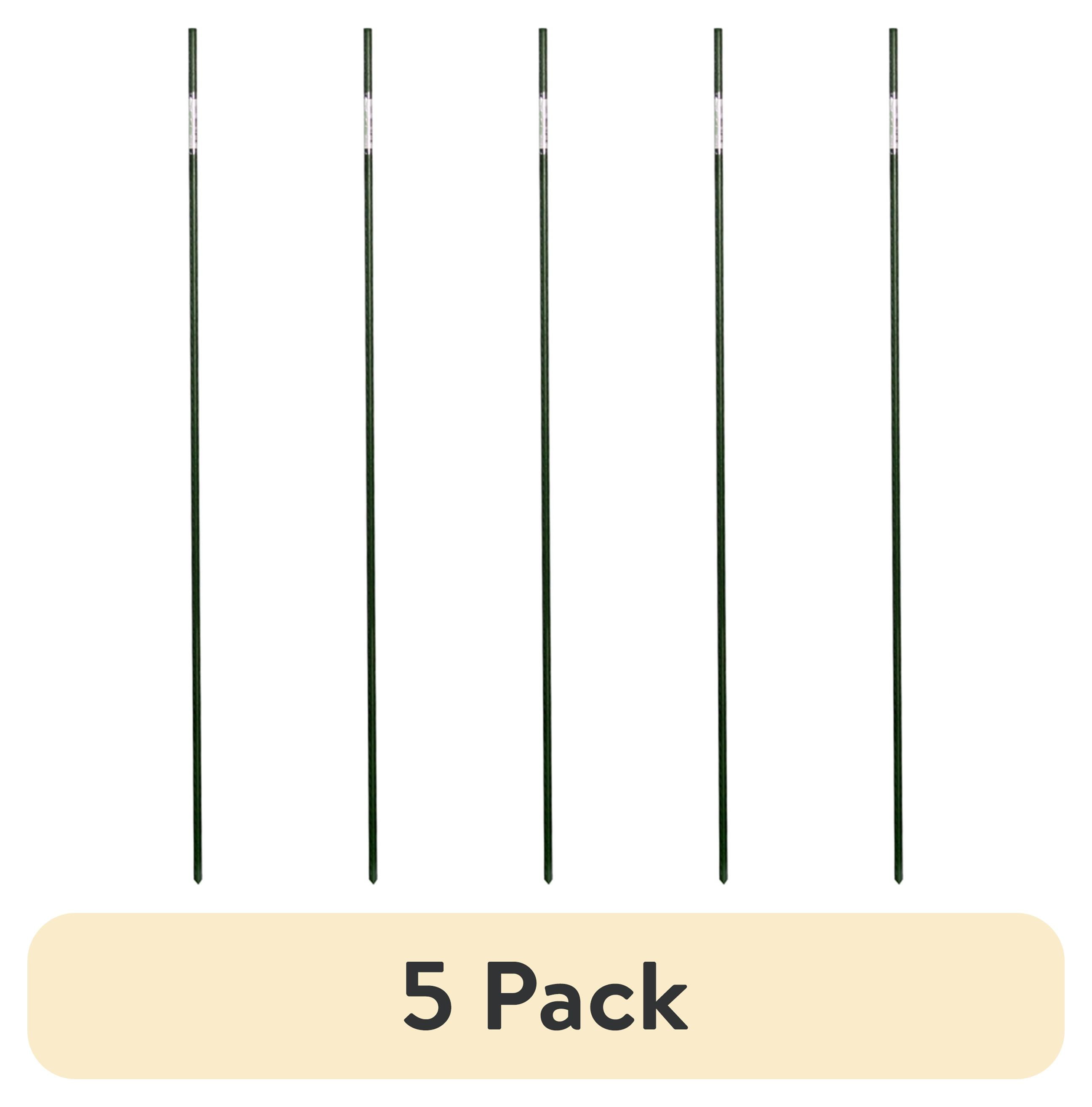 (5 pack) Panacea 48 inch Tall x .5 inch wide x .5 inch deep Green ...