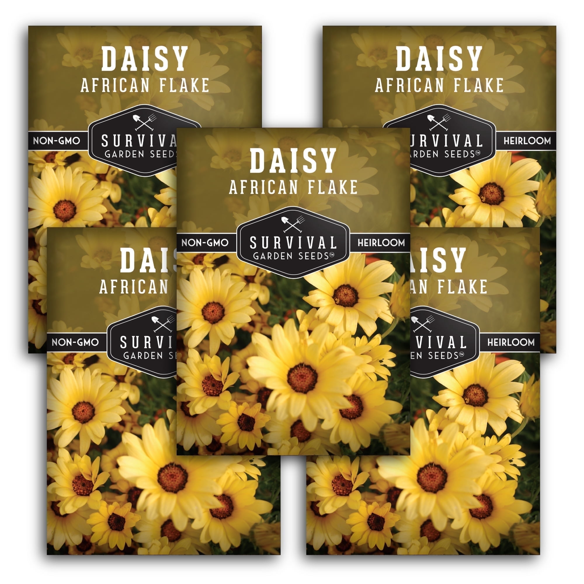 African Flake Daisy Seeds - 5 Pack - Full Sun Annual Flower - Walmart.com