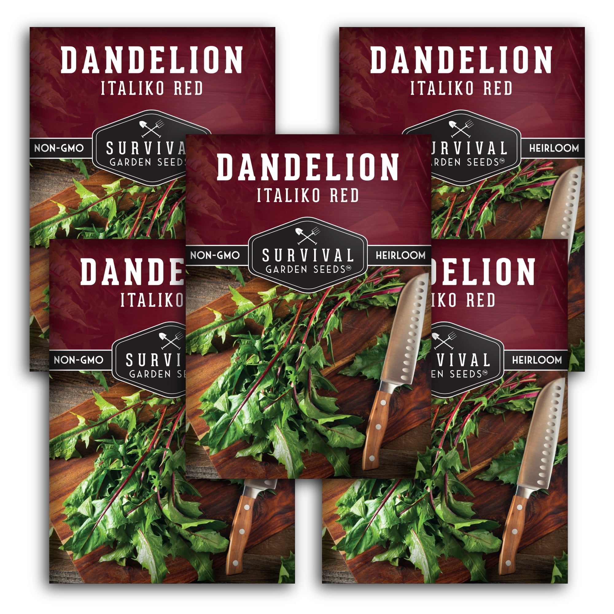 5 packs Italiko Red Dandelion Seeds - Italian Chicory - Non-GMO ...