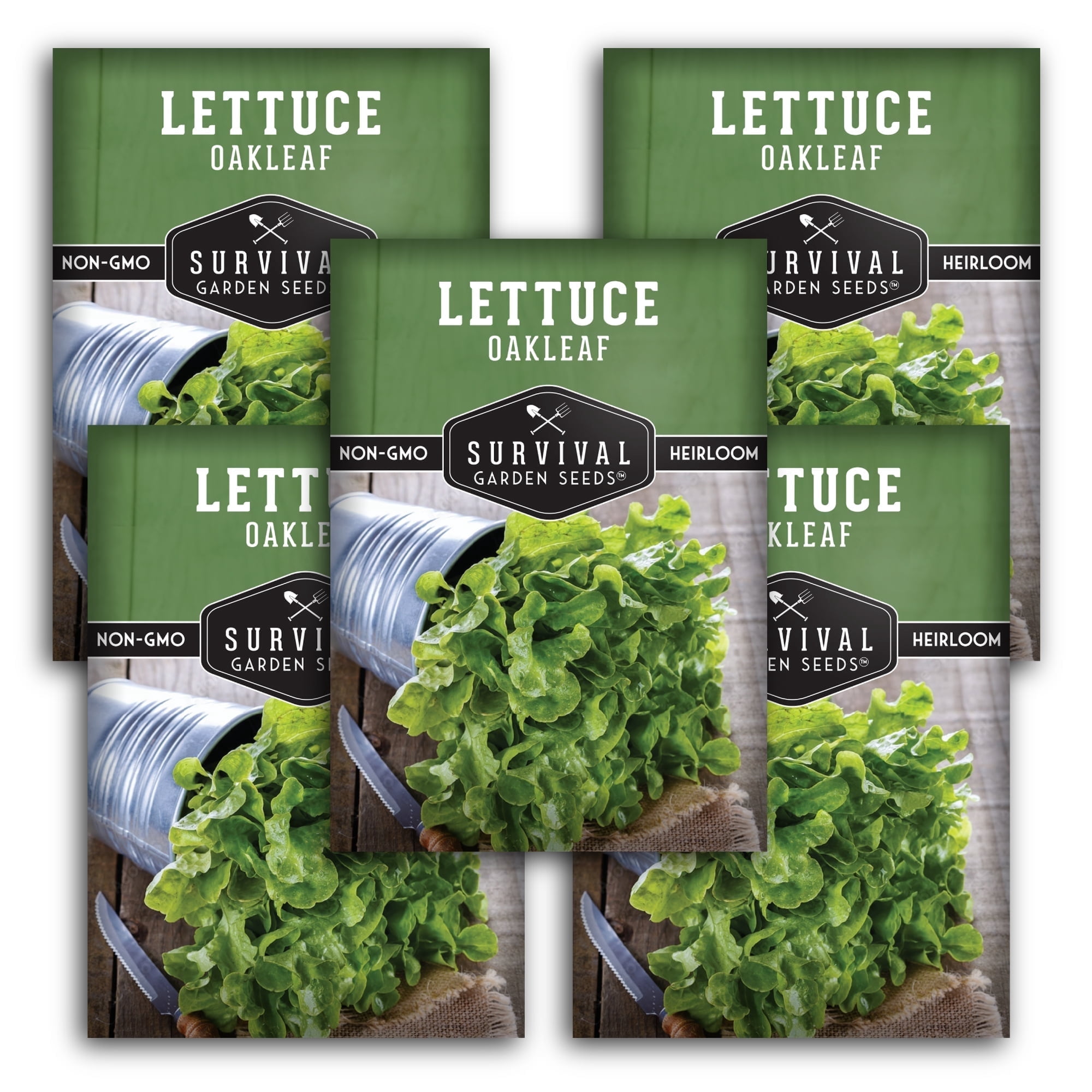 Oakleaf Lettuce Seeds - 5 pack - Non-GMO Heirloom Full Sun Annual ...