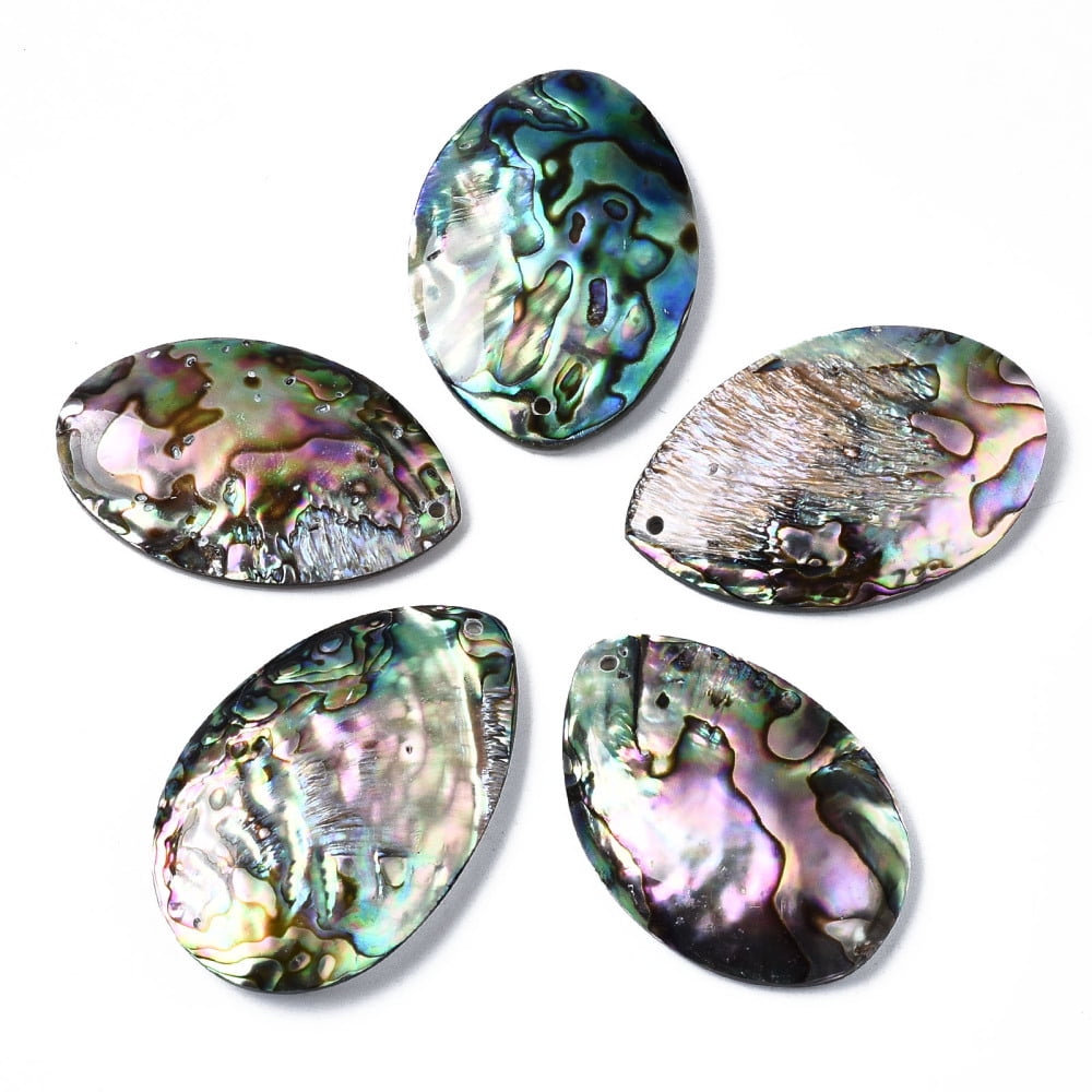5 pc Natural Abalone Shell/Paua Shell Pendants with Freshwater Shell ...