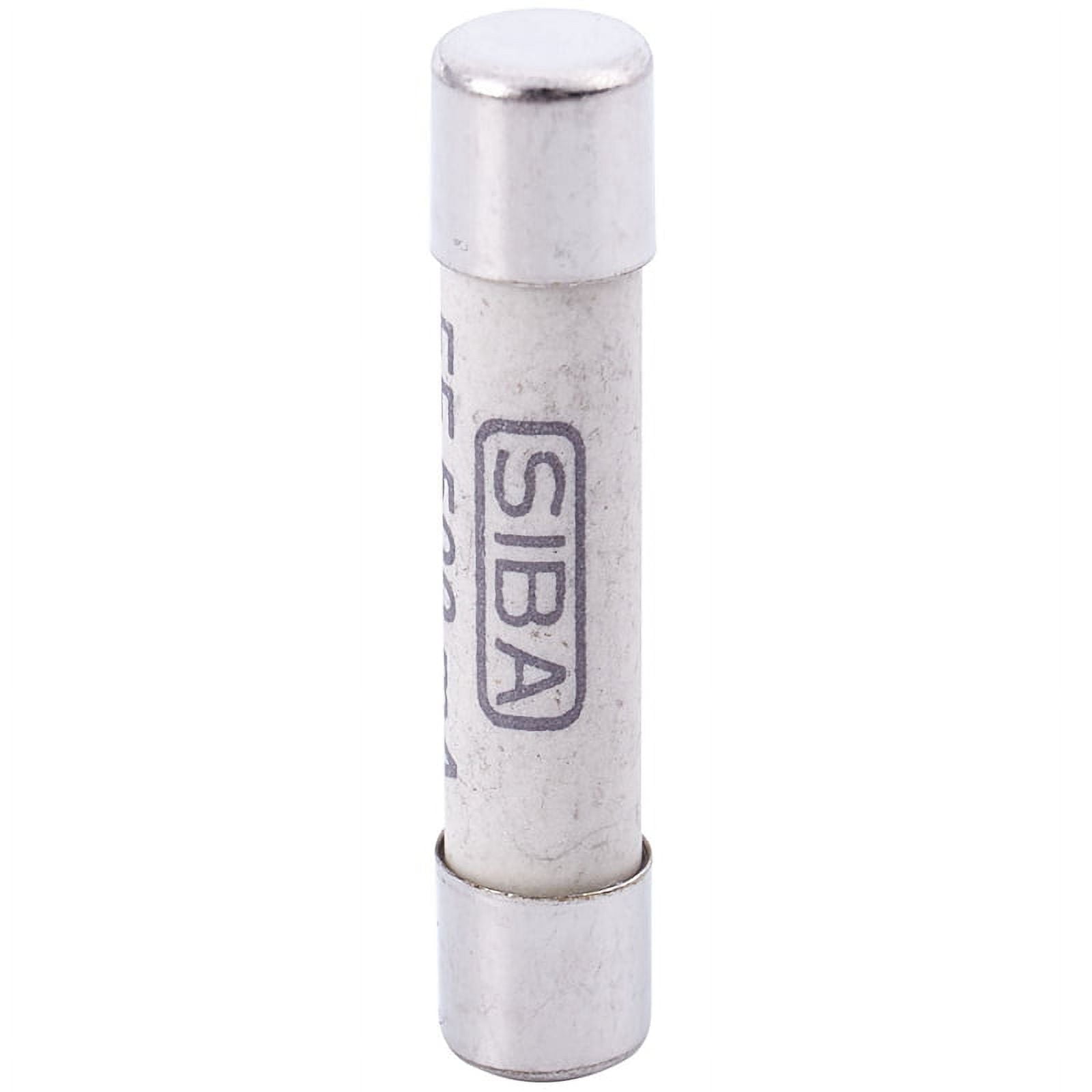 5 pcs silver+white 1000V 500mA 6.3 x 32mm White Ceramic Fuse for ...