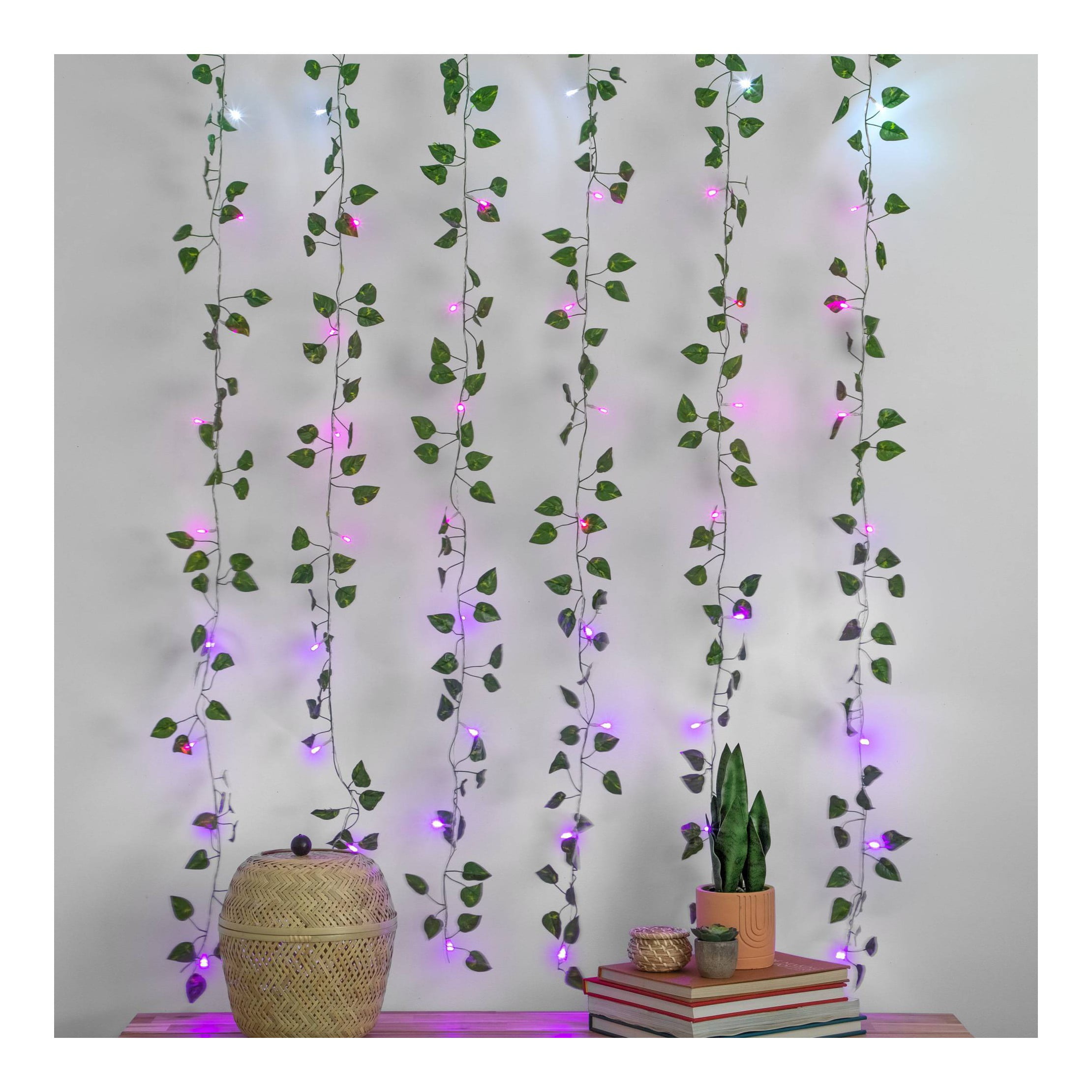 5' x 3.5' LED Vine Curtain String Lights Ombre: Battery Operated ...