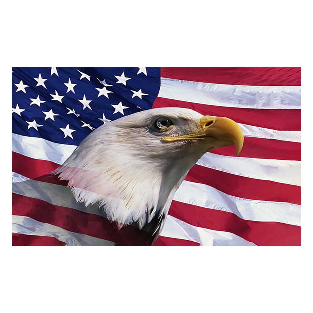 5 x 3FT American Flag Backdrop Bald Eagle Stars and Stripes US Flag ...