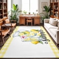 5'x7' Area Rugs, Summer Fruits Indoor Outdoor Area Rug for Living Room ...