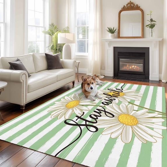 5'x8' Area Rugs, Daisy Flower Indoor Outdoor Area Rug for Living Room ...