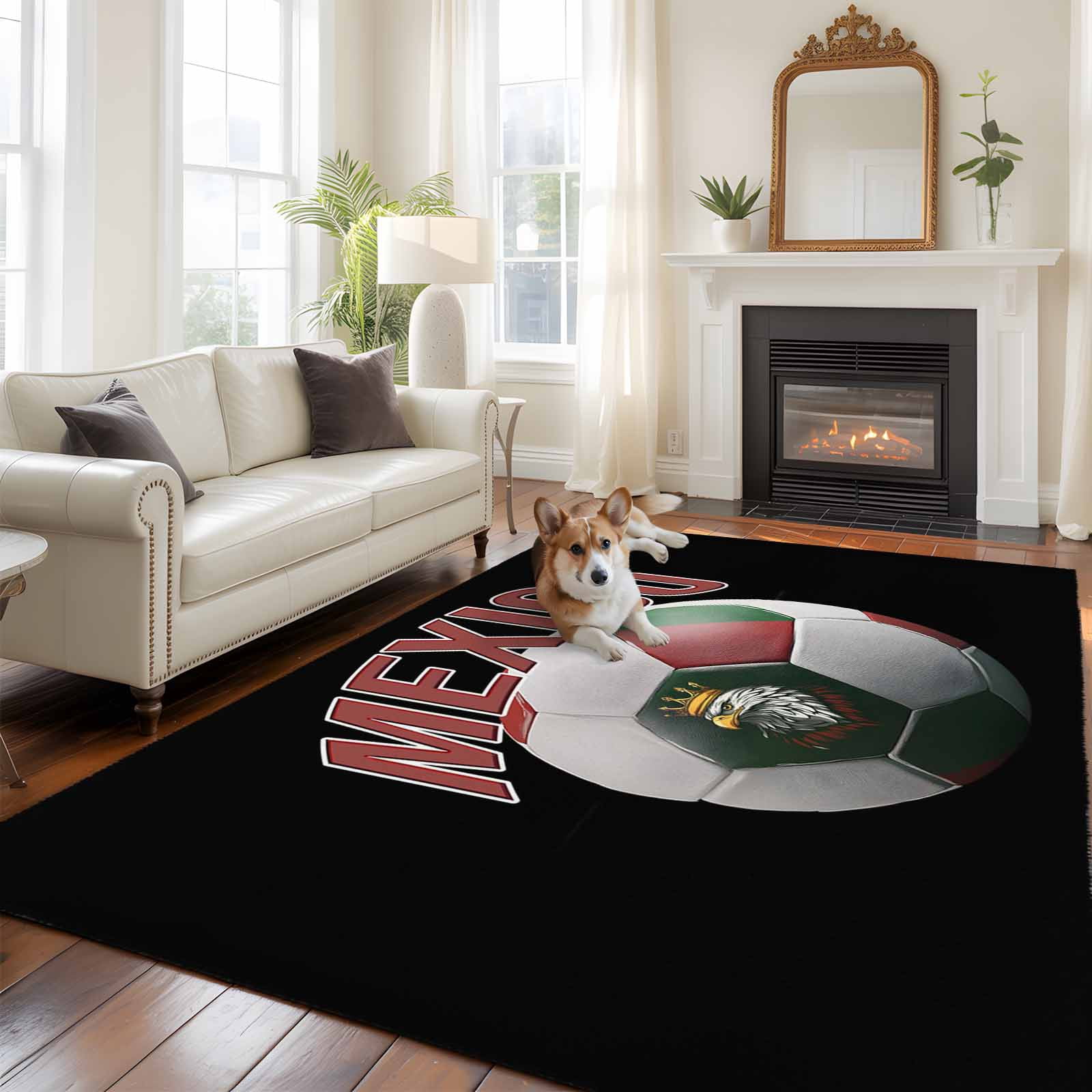5'x8' Area Rugs, Football Indoor Outdoor Area Rug for Living Room ...