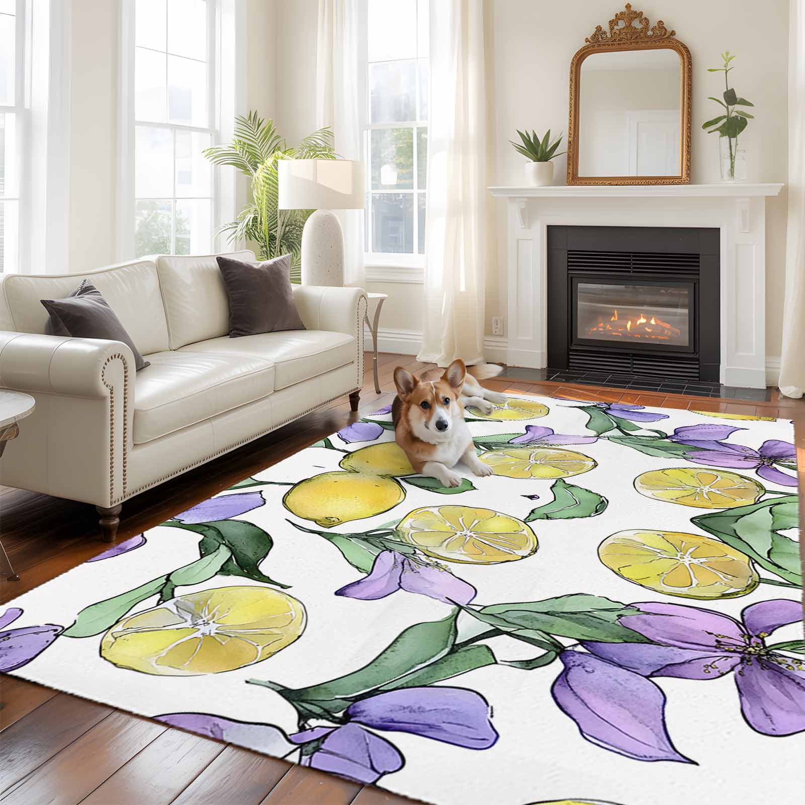 5'x8' Area Rugs, Lemon Indoor Outdoor Area Rug for Living Room Bedroom ...