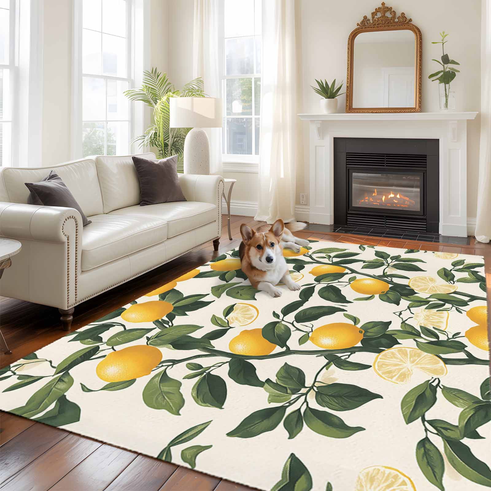 5'x8' Area Rugs, Lemon Indoor Outdoor Area Rug for Living Room Bedroom ...
