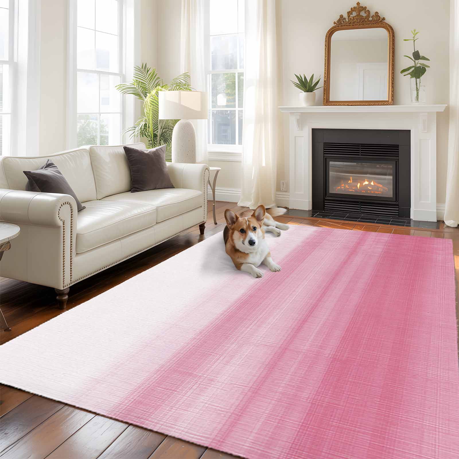 5'x8' Area Rugs, Pink White Ombre Indoor Outdoor Area Rug for Living ...