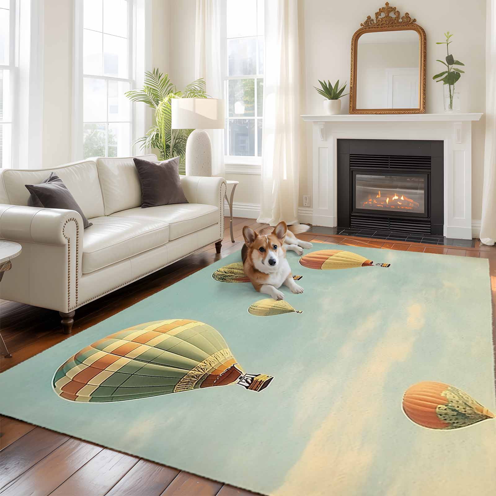 5'x8' Area Rugs, Retro Hot Air Balloon Indoor Outdoor Area Rug for ...
