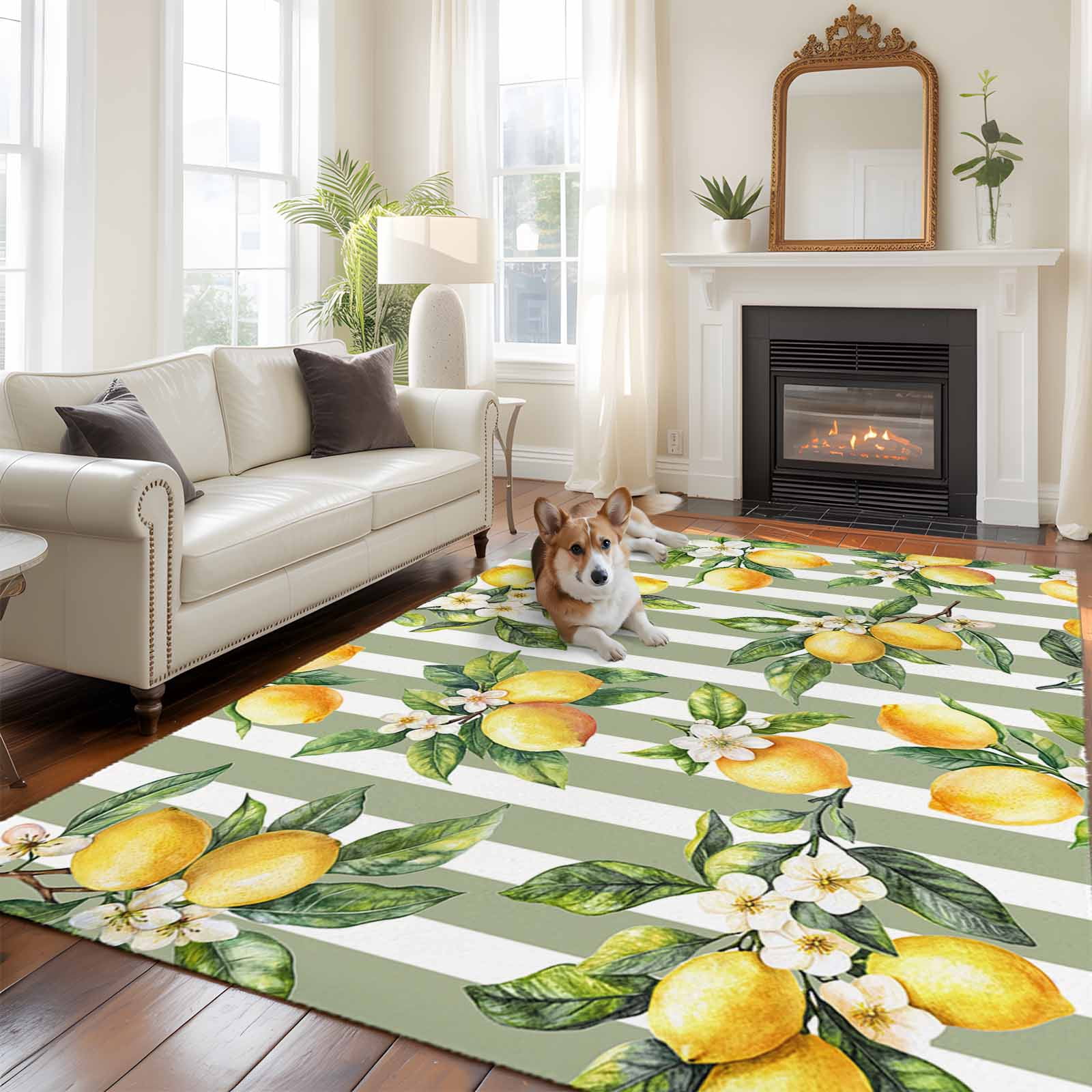 5'x8' Area Rugs, Spring Lemon Indoor Outdoor Area Rug for Living Room ...
